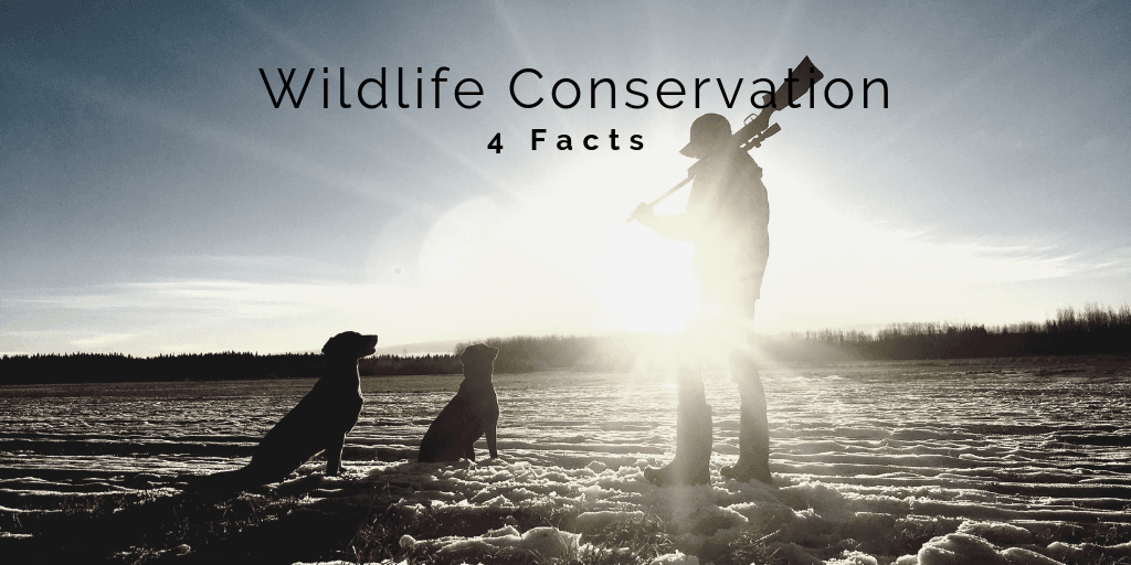 4 Facts Of Wildlife Conservation 4-facts-of-wildlife-conservation