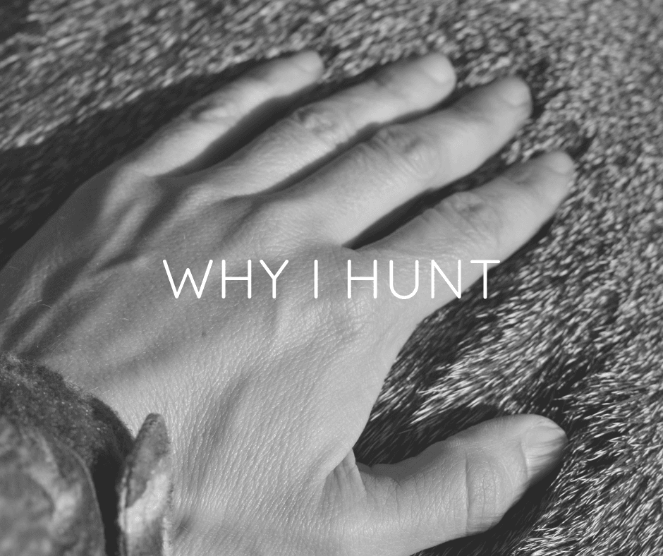 Why Do People Hunt: Animal and Land Conservation