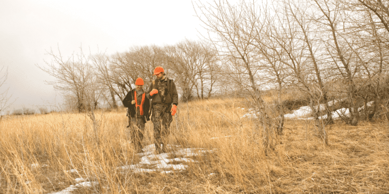 15 Essential Tips for Hunting Public Land Like a Pro