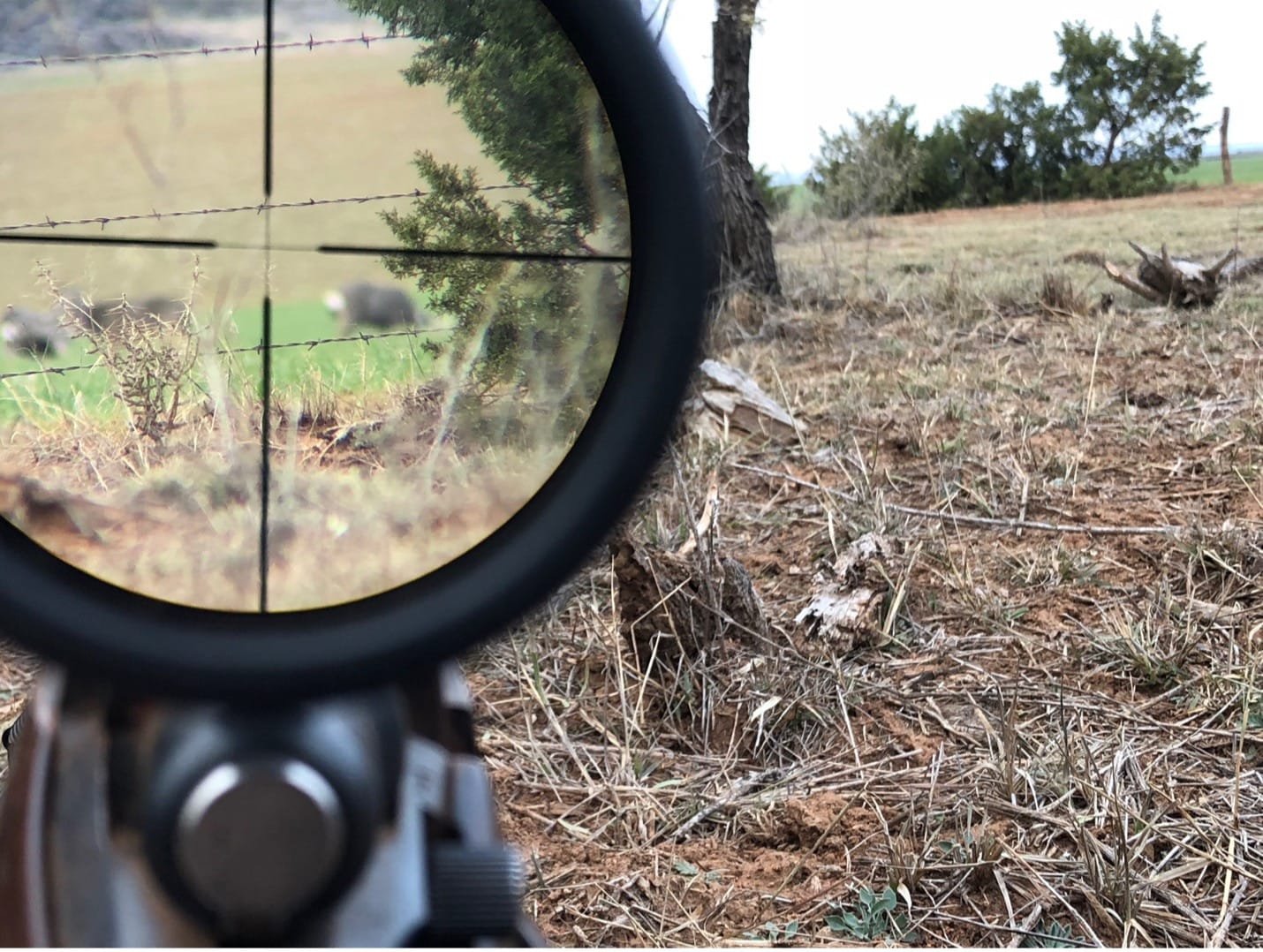 165 Hunting Tips: The Complete Guide to Hunting