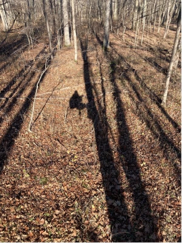 Saddle Hunting: The Guide for Tree Stand Hunters