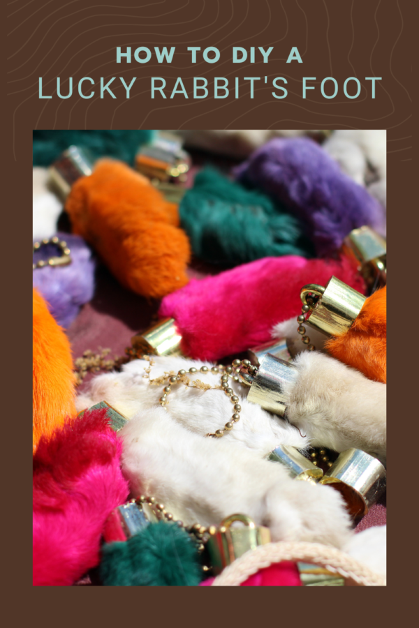 How to Make a Lucky Rabbit's Foot: DIY Preservation Guide