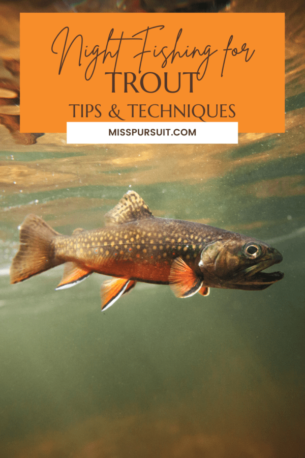 Night Fishing for Trout: Tips and Techniques