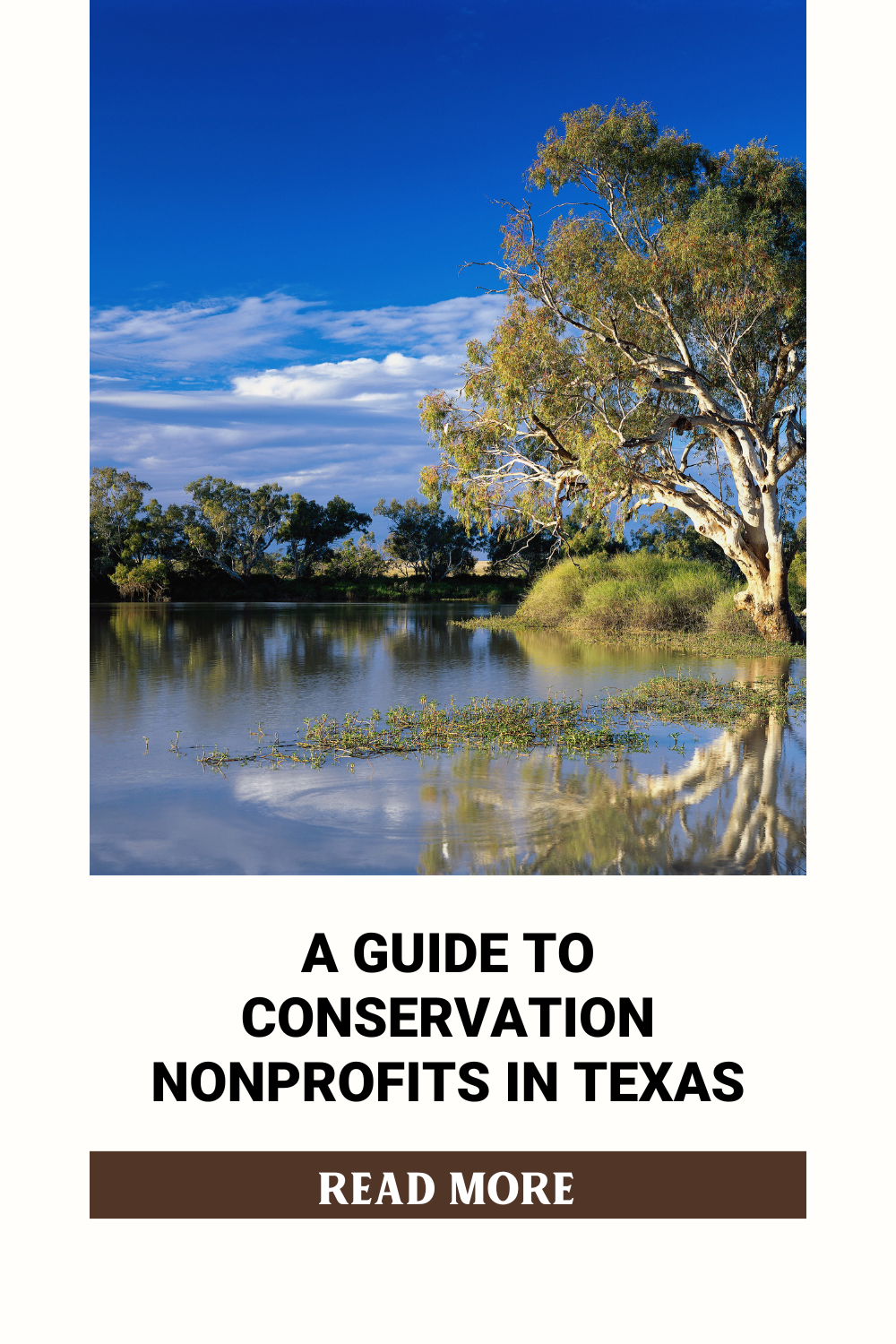 A Guide to Conservation Nonprofits in Texas