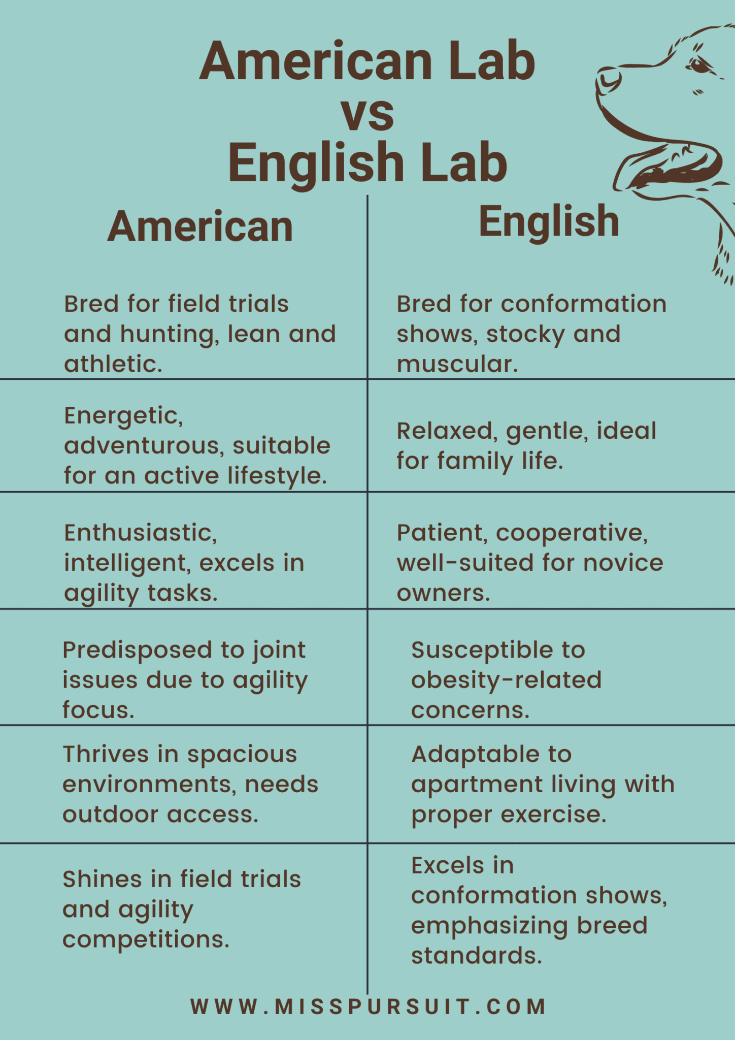 Comparing American Labs and English Labs: A Comprehensive Analysis