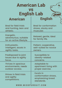 Comparing American Labs and English Labs: A Comprehensive Analysis