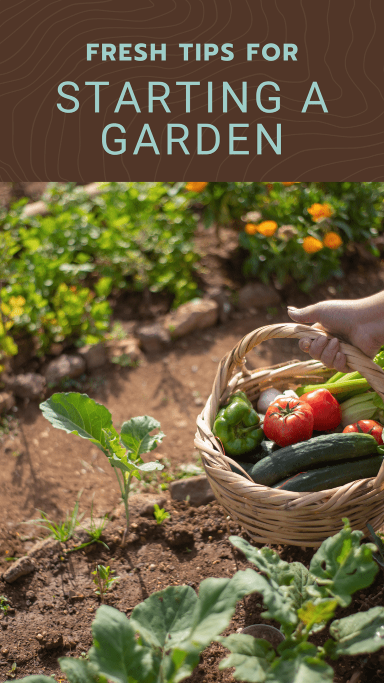 Fresh Tips for Starting A Garden