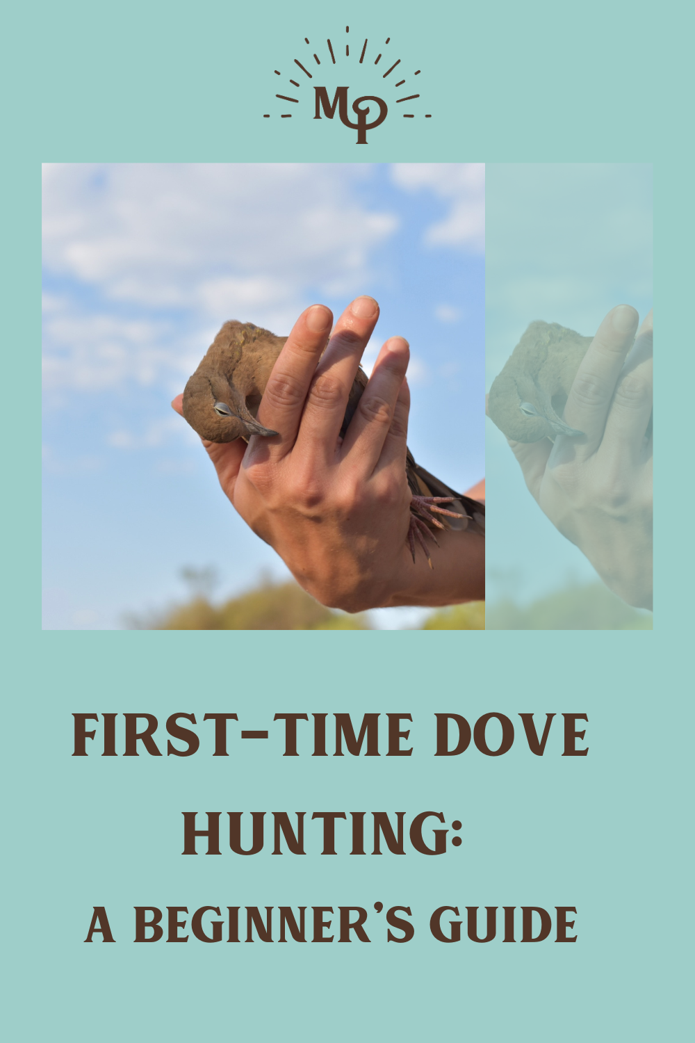 First-Time Dove Hunting: A Beginner’s Guide