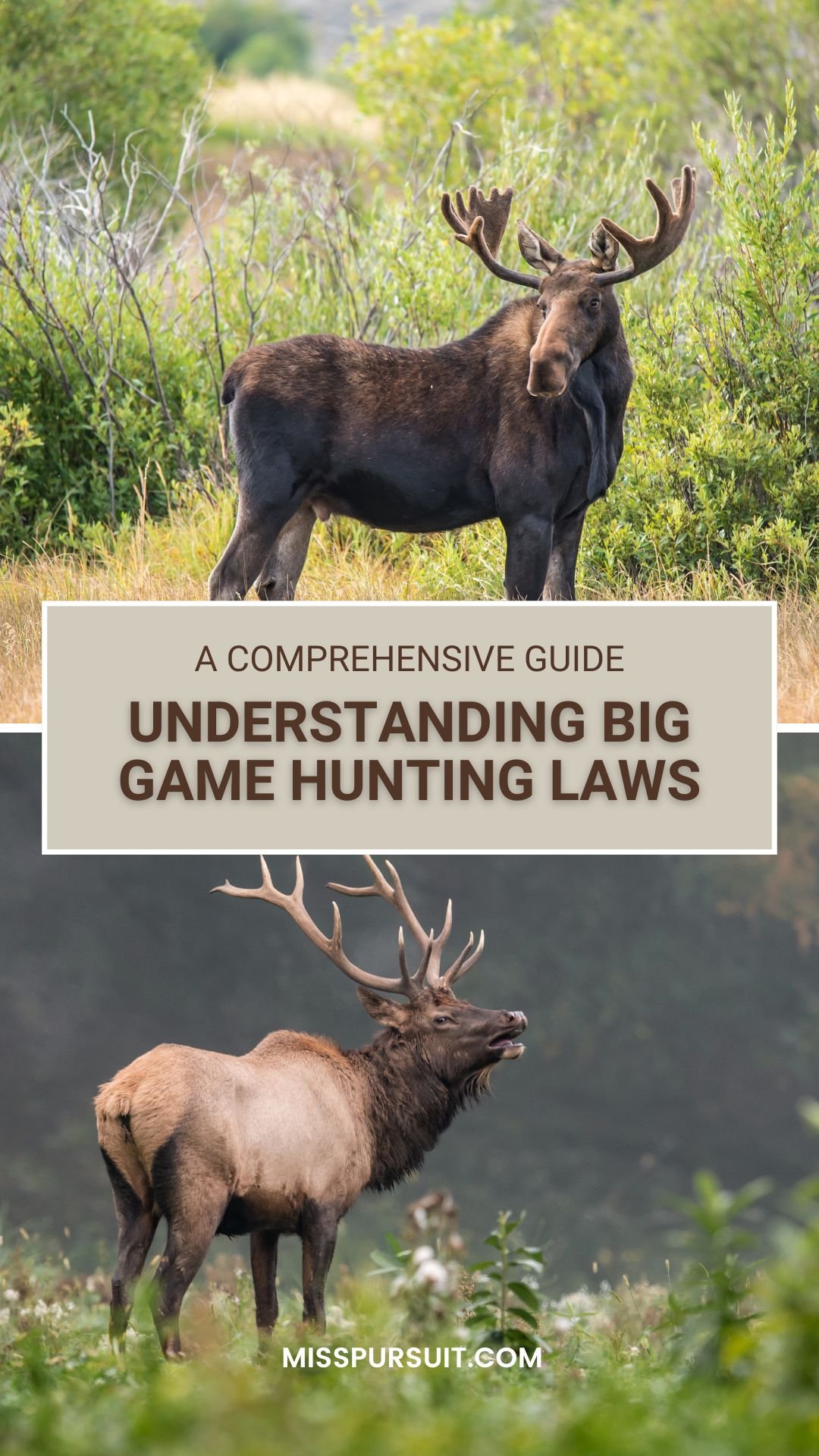 Understanding Big Game Hunting Laws: A Comprehensive Guide