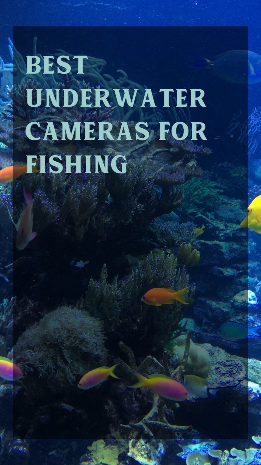 Best Underwater Cameras for Fishing: Top Picks for Anglers
