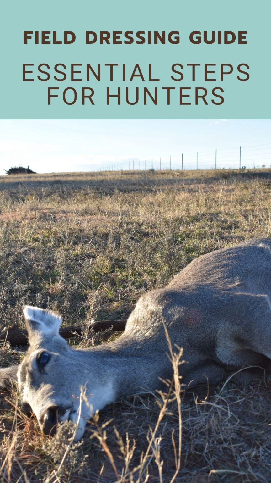 Field Dressing Guide: Essential Steps for Hunters