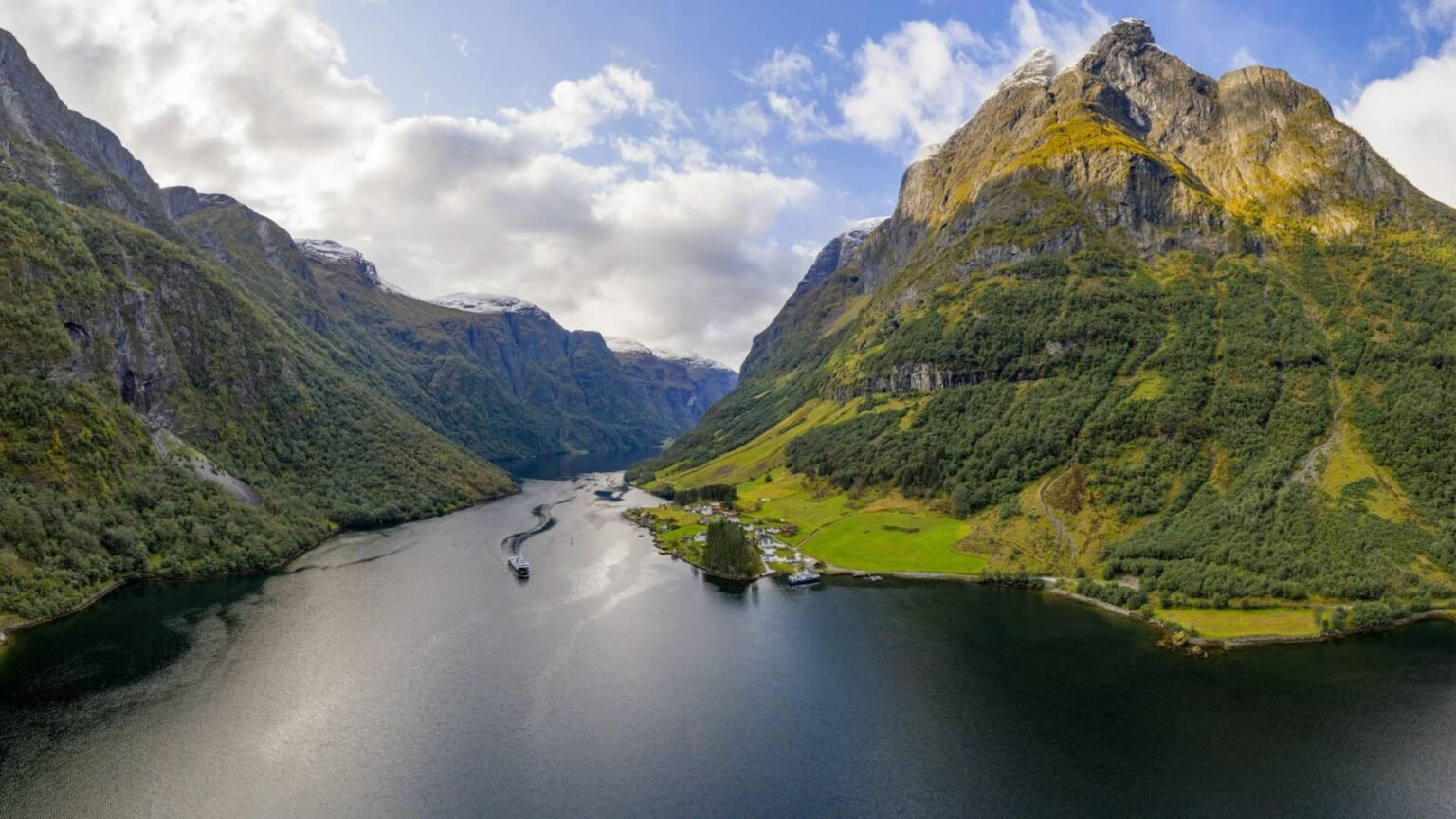 Can You Eat Raccoon? A Guide to Raccoon Meat Consumption