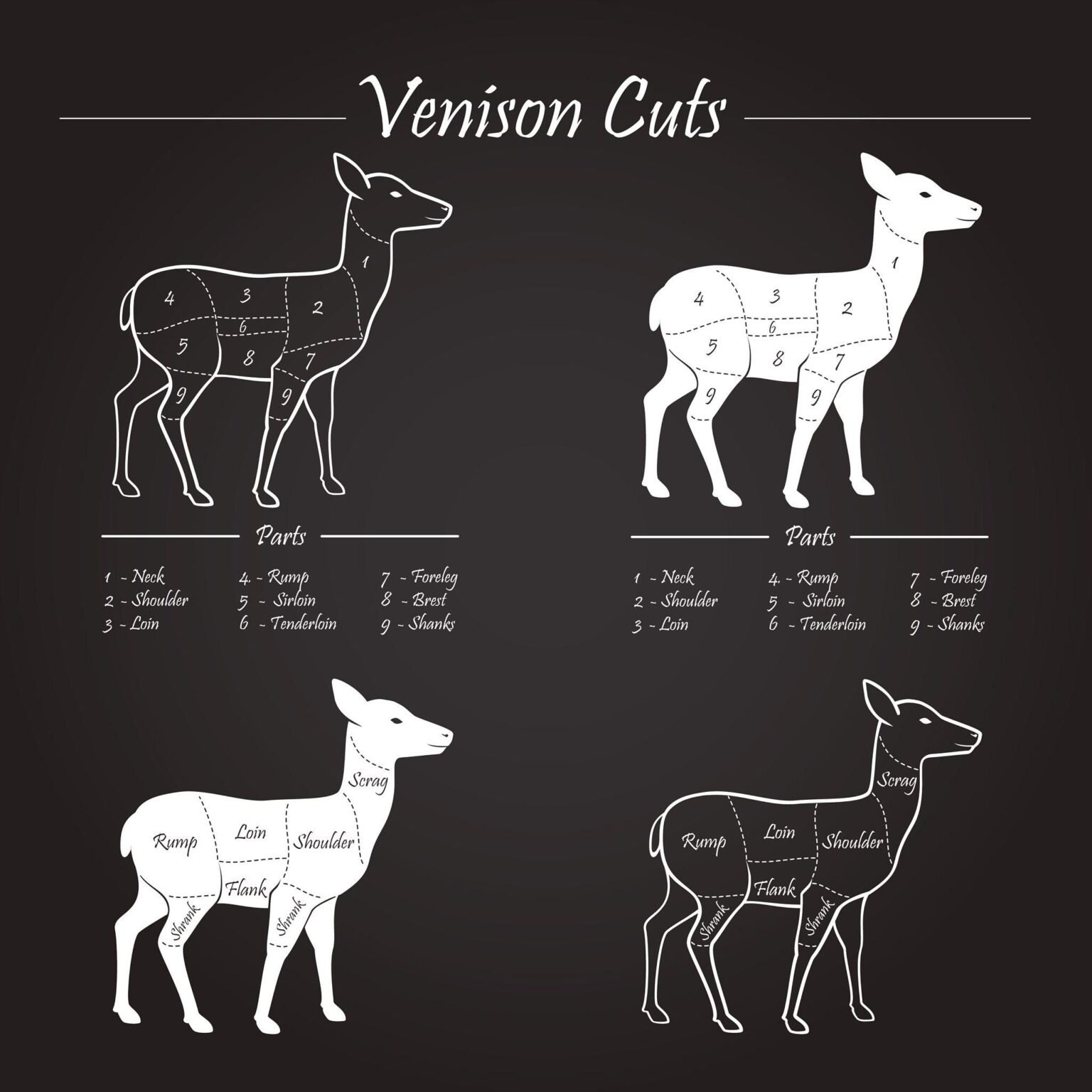 Venison Cuts Chart: A Complete Guide to Deer Meat Cuts and How to Use Them