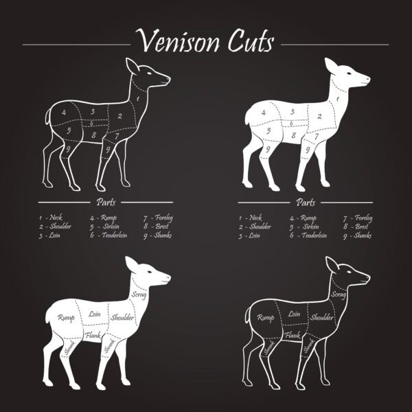 Venison Cuts Chart: A Complete Guide to Deer Meat Cuts and How to Use Them