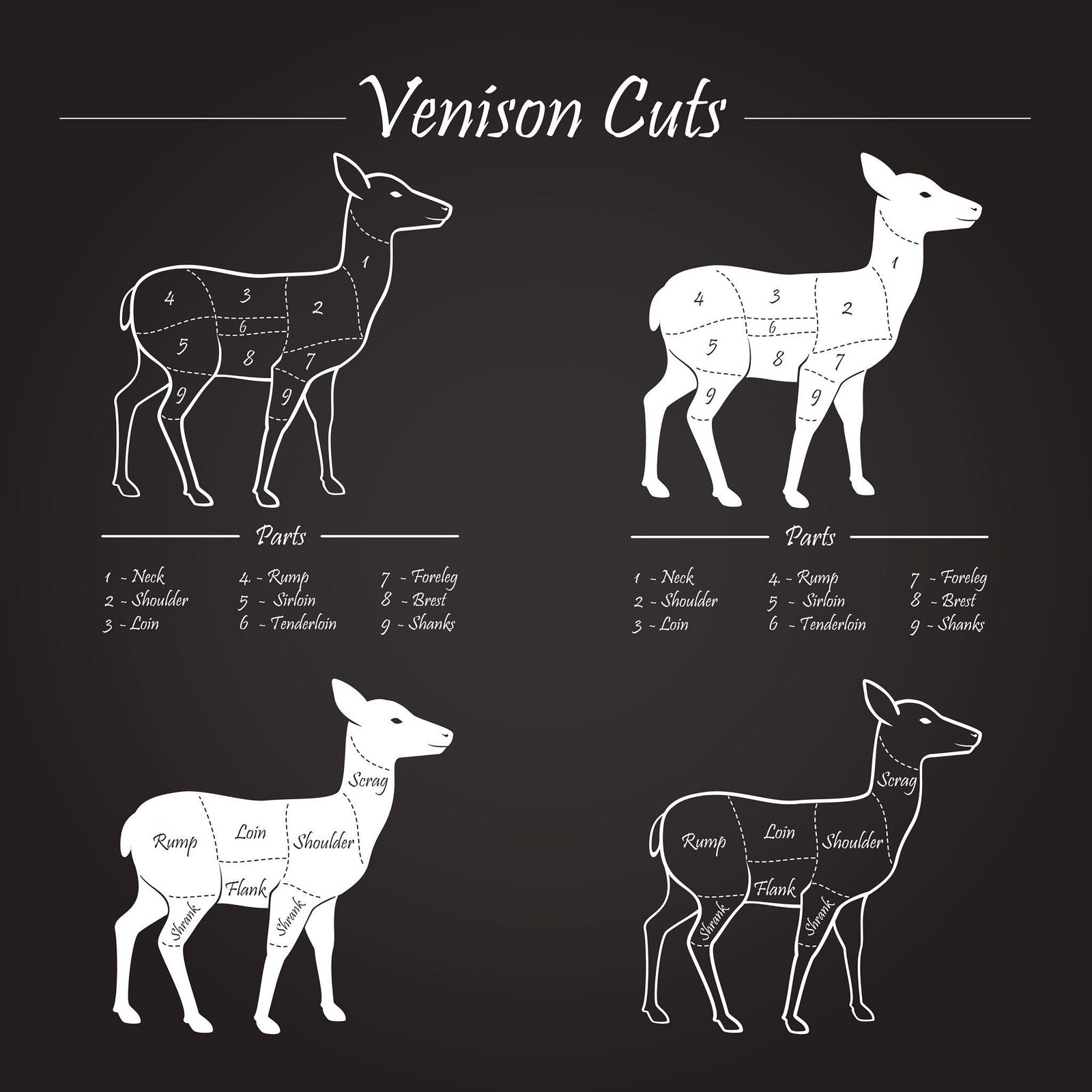 Venison Cuts Chart: A Complete Guide to Deer Meat Cuts and How to Use Them