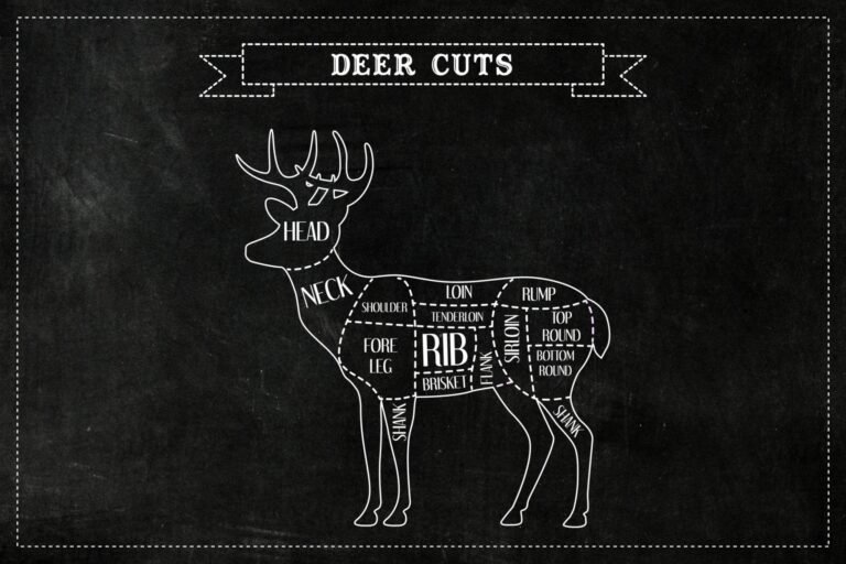 Venison Cuts Chart: A Complete Guide to Deer Meat Cuts and How to Use Them