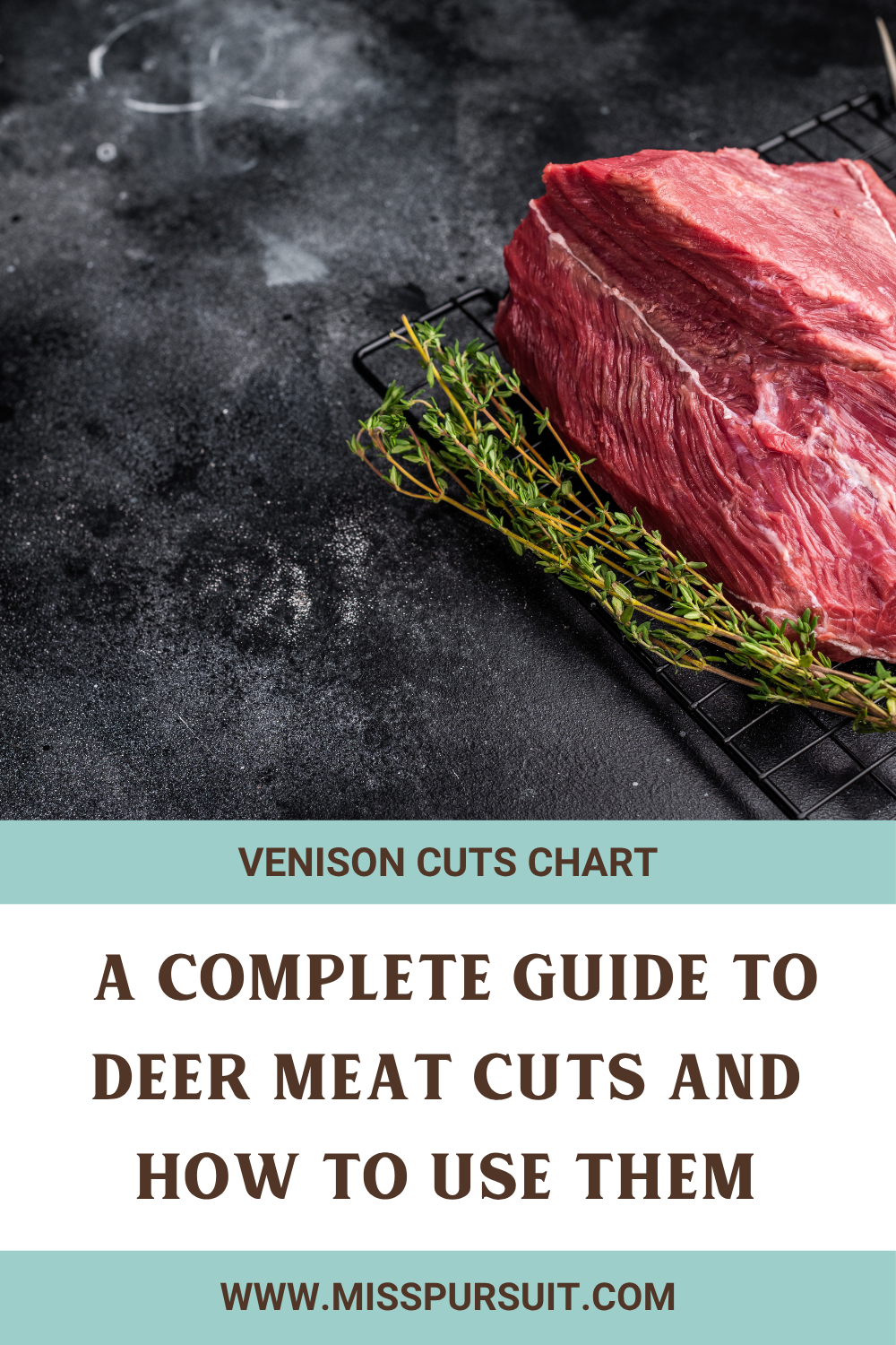 Venison Cuts Chart: A Complete Guide to Deer Meat Cuts and How to Use Them